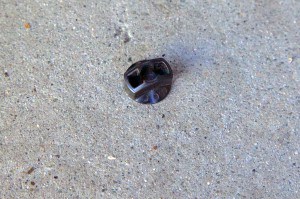 DIY: How to install Prius PLUS Ground Effects kit by TRD » Balancing Act