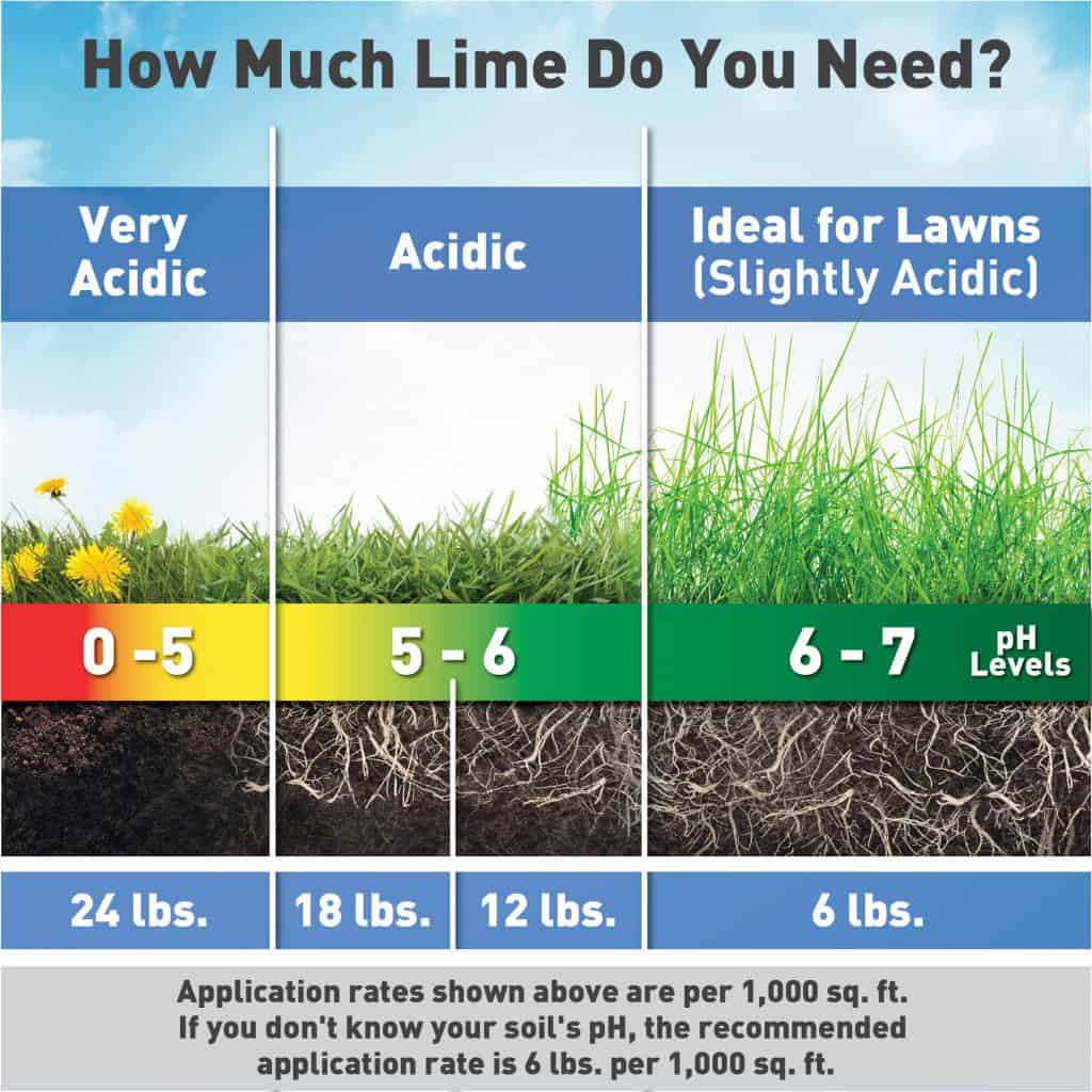 Get Sunday Lawn Care: Review, Does it Work? » Balancing Act