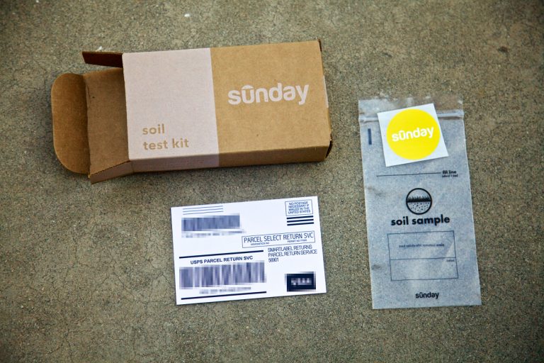 Get Sunday Lawn Care: Review, Does it Work? » Balancing Act