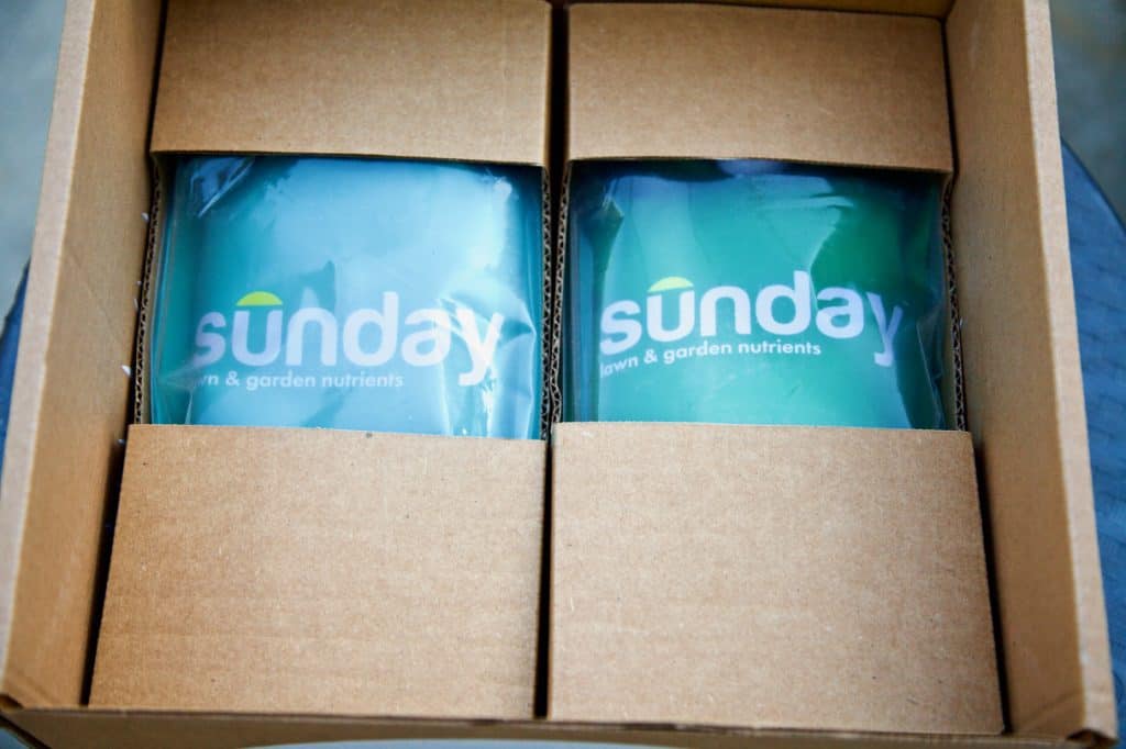 Get Sunday Lawn Care: Review, Does it Work? » Balancing Act