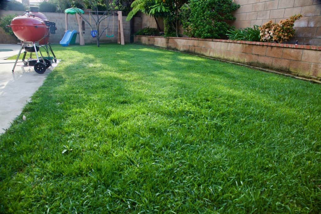 Get Sunday Lawn Care: Review, Does it Work? » Balancing Act