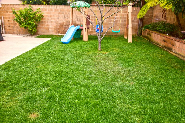 The Journey to Restore Our Front Yard » Balancing Act