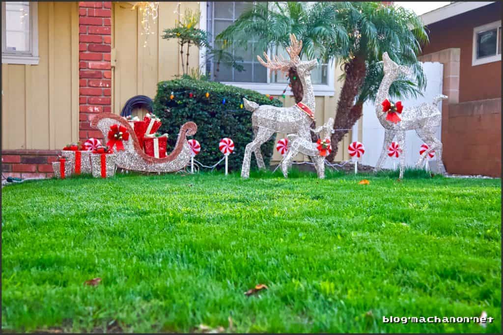 The Journey to Restore Our Front Yard » Balancing Act